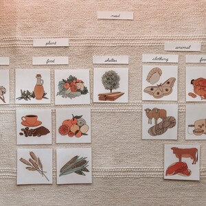 Interdependencies Cards B1 Farmer Montessori Social Studies, Instant ...