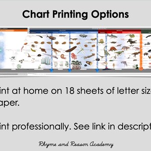 Printable Timeline of Life Montessori Second Great Lesson, the Coming ...