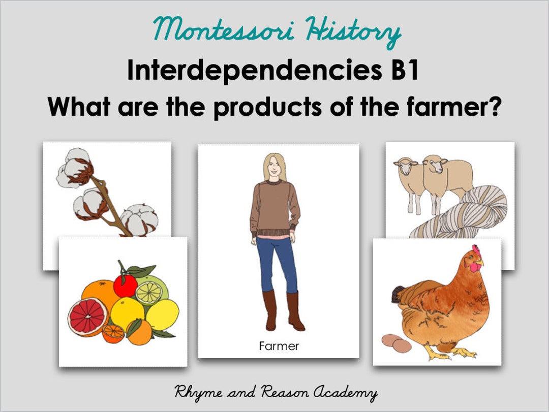 Interdependencies Cards B1 Farmer Montessori Social Studies, Instant ...