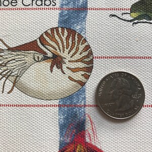 Printable Timeline of Life Bundle Montessori Second Great | Etsy Canada