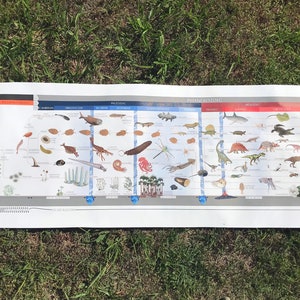 Printable Timeline of Life Montessori Second Great Lesson, the Coming ...