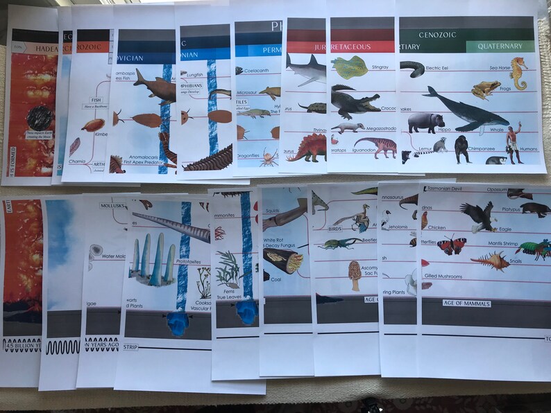 Printable Timeline of Life Montessori Second Great Lesson - Etsy México