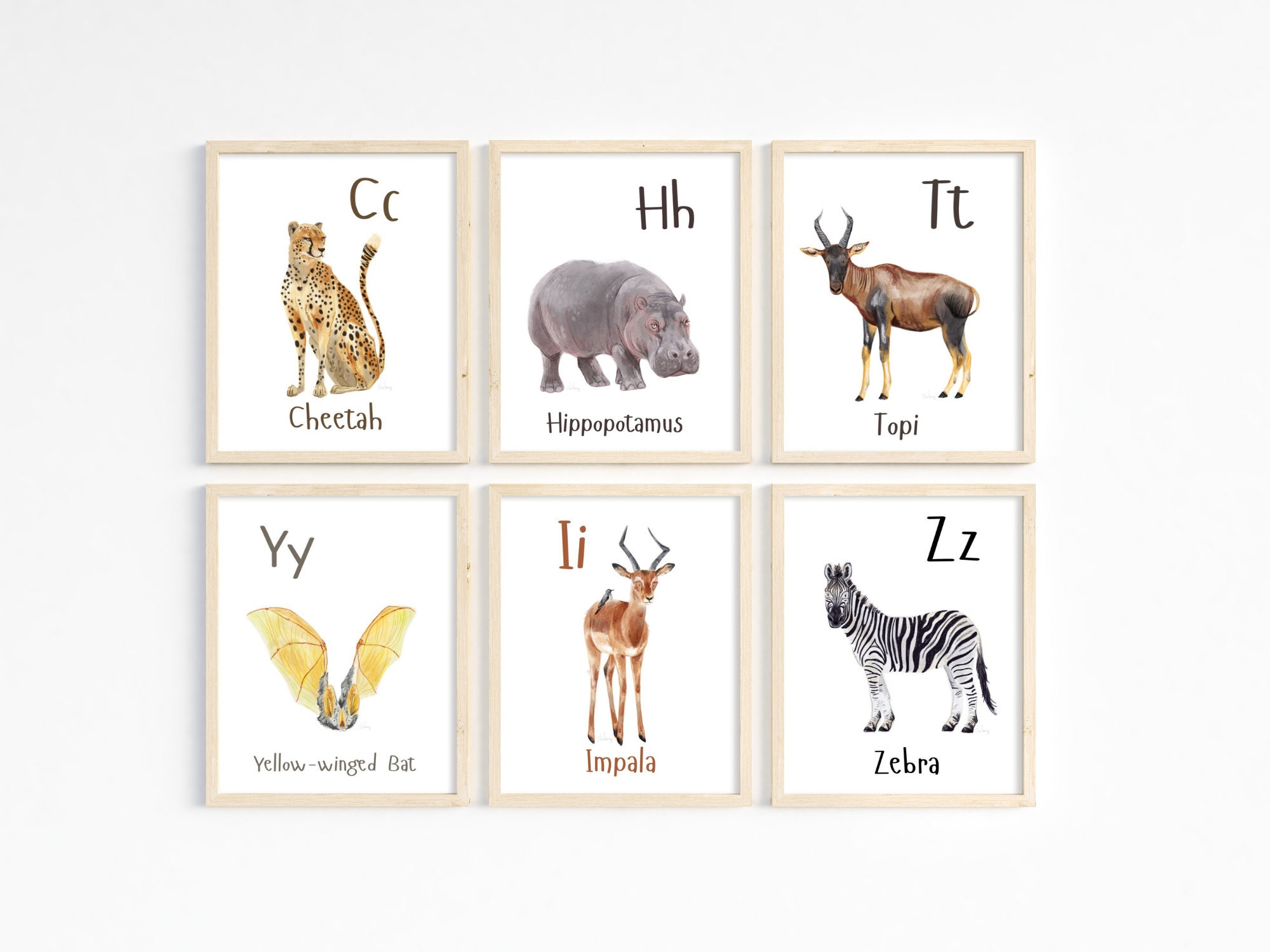 Zebra Animal Alphabet Print Instant Digital Download Zebra Print ...