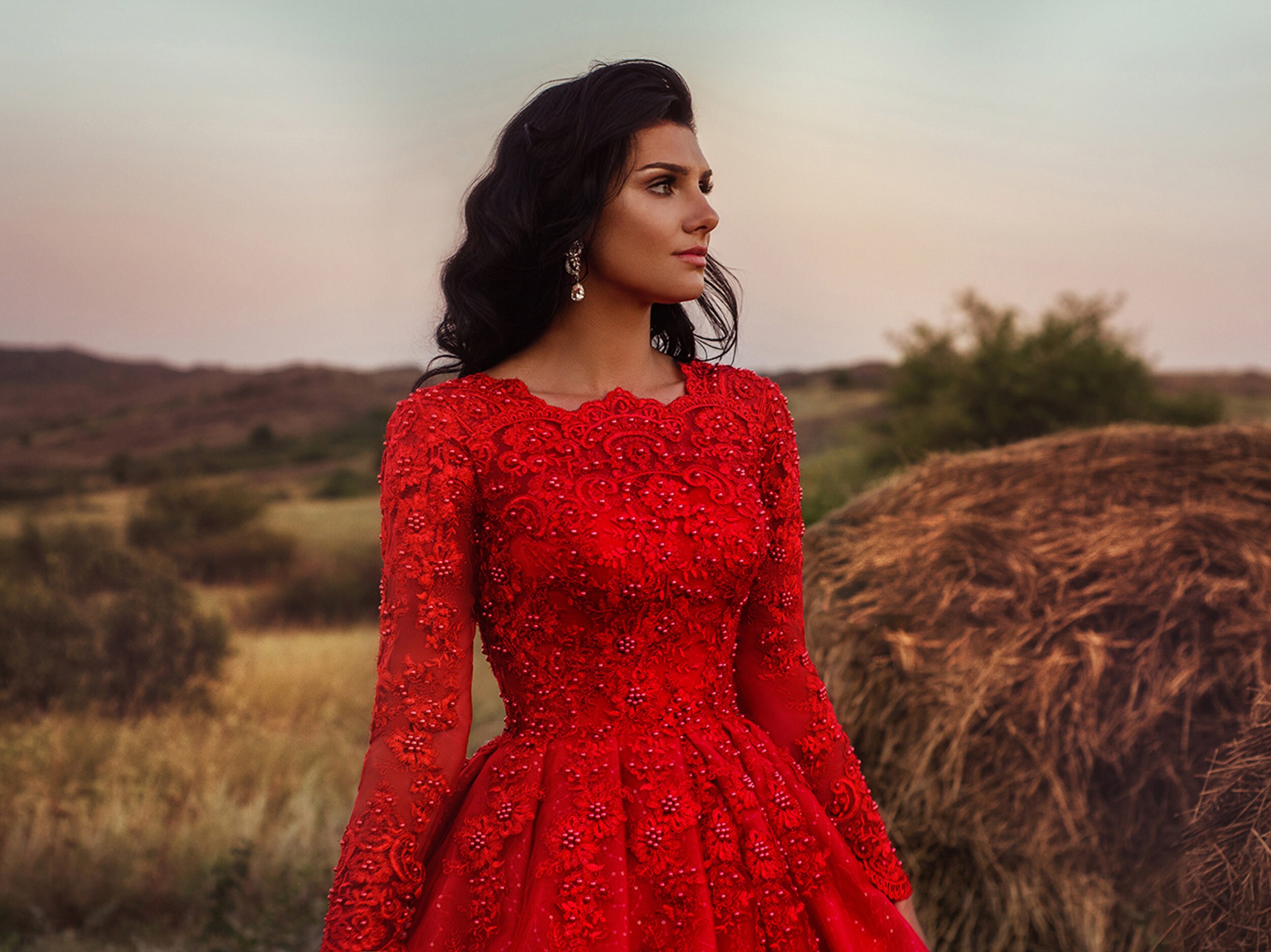 Red Bridal Gownemboidered Lace Wedding Dressball Gown Lace - Etsy