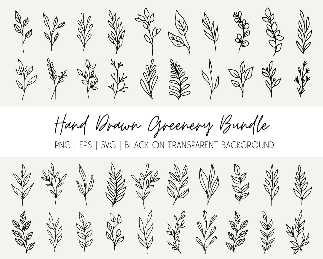 Greenery Bundle: Hand Drawn Line Art Design - Greenery, Natural, Leaves ...