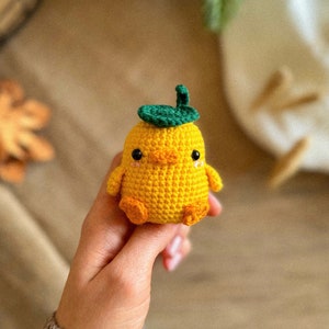 PDF Pocket Friends Set of 5 Amigurumi Patterns | Mini Amigurumi Pattern ...