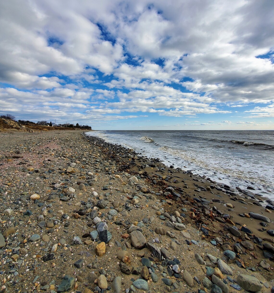 Hand Painted Fall Tree on Smooth Beach Stone Falling Leaves - Etsy