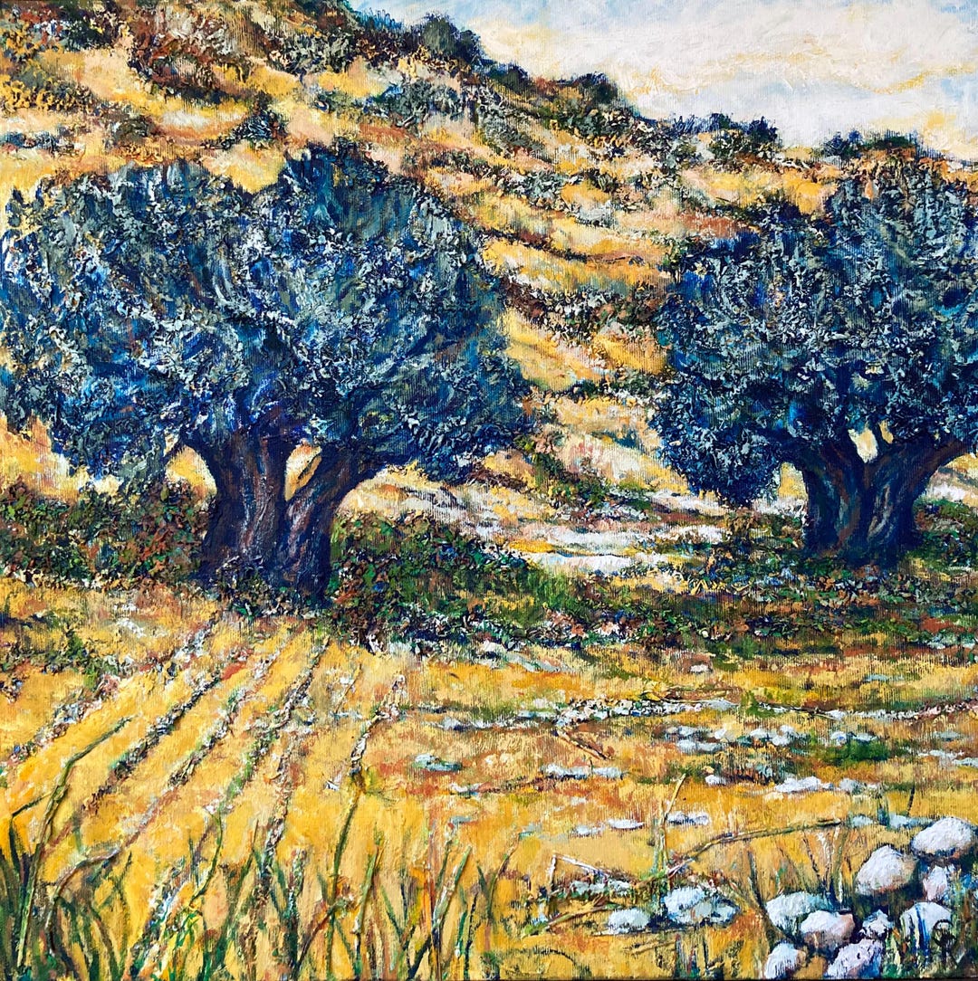 Blue Olive Trees in a Cyprus Village Olive Grove. A Mediterranean ...