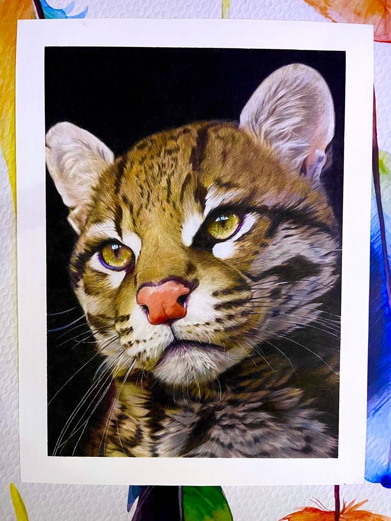 Ocelot Feline Drawing, Colored Pencils - Etsy