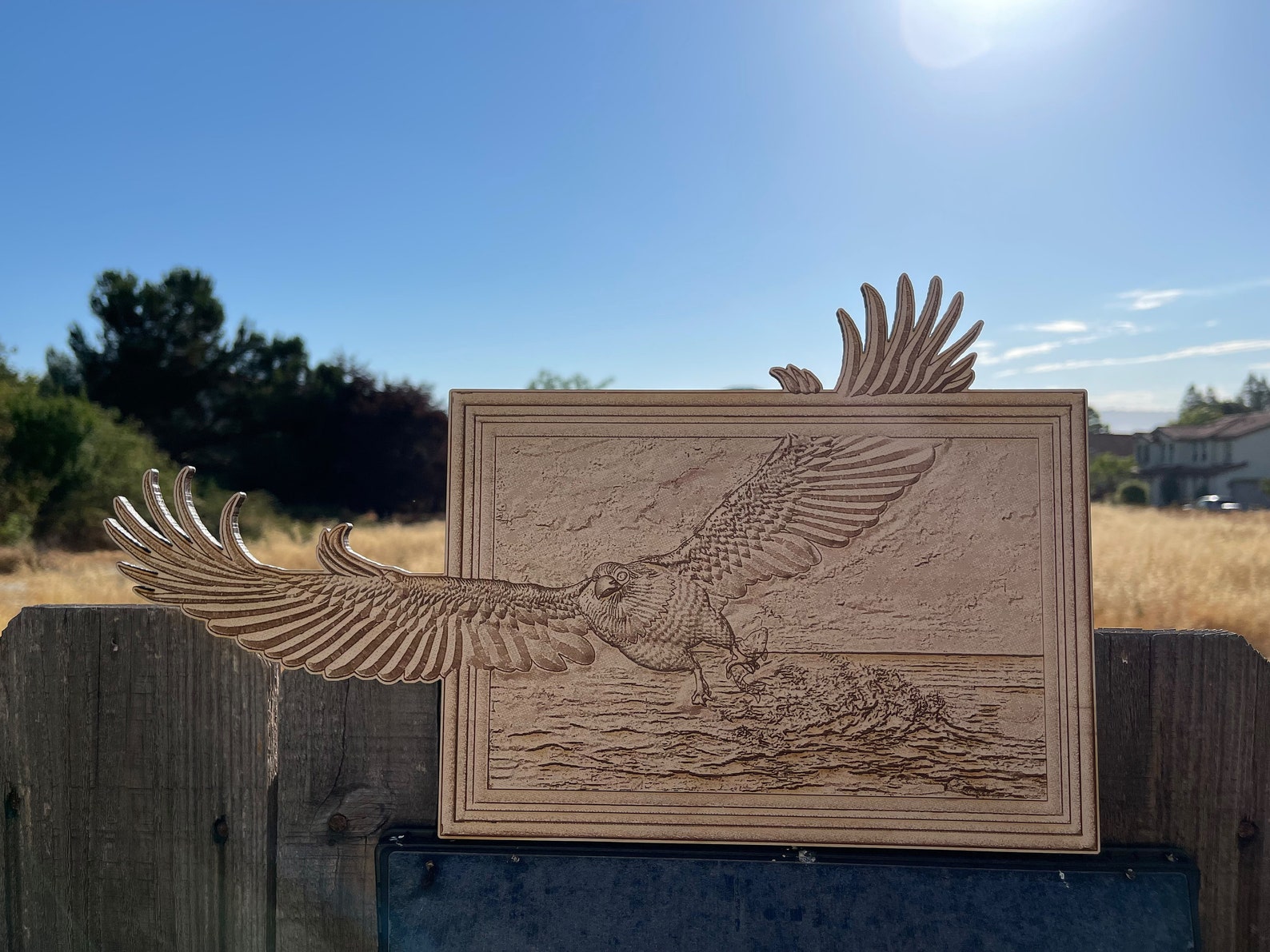 Eagle With Fish - 3D Illusion Digital File for Laser Engraving - Etsy