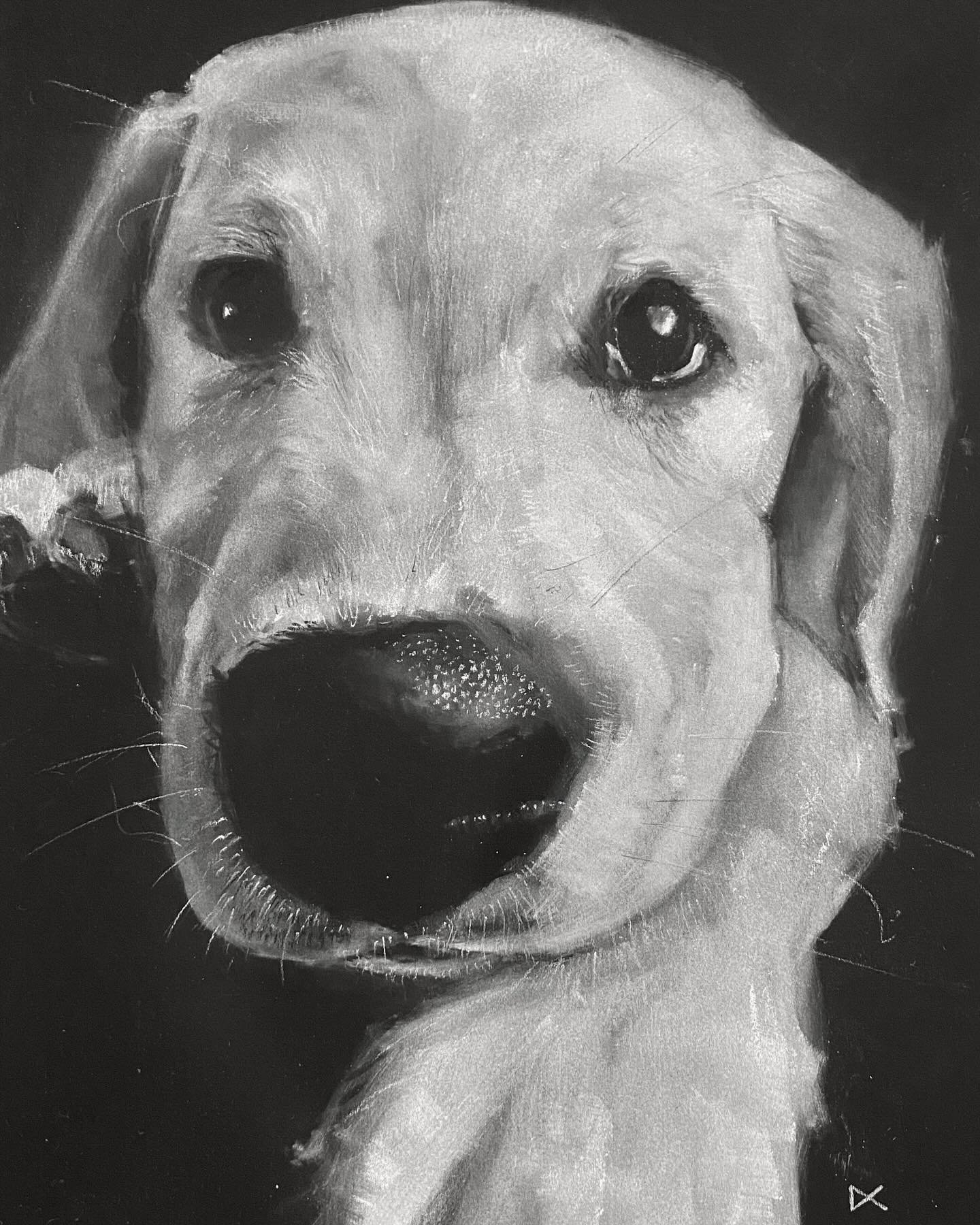 Pet Portrait Drawing / Pastel Pet Drawing / Custom Pet Portrait ...