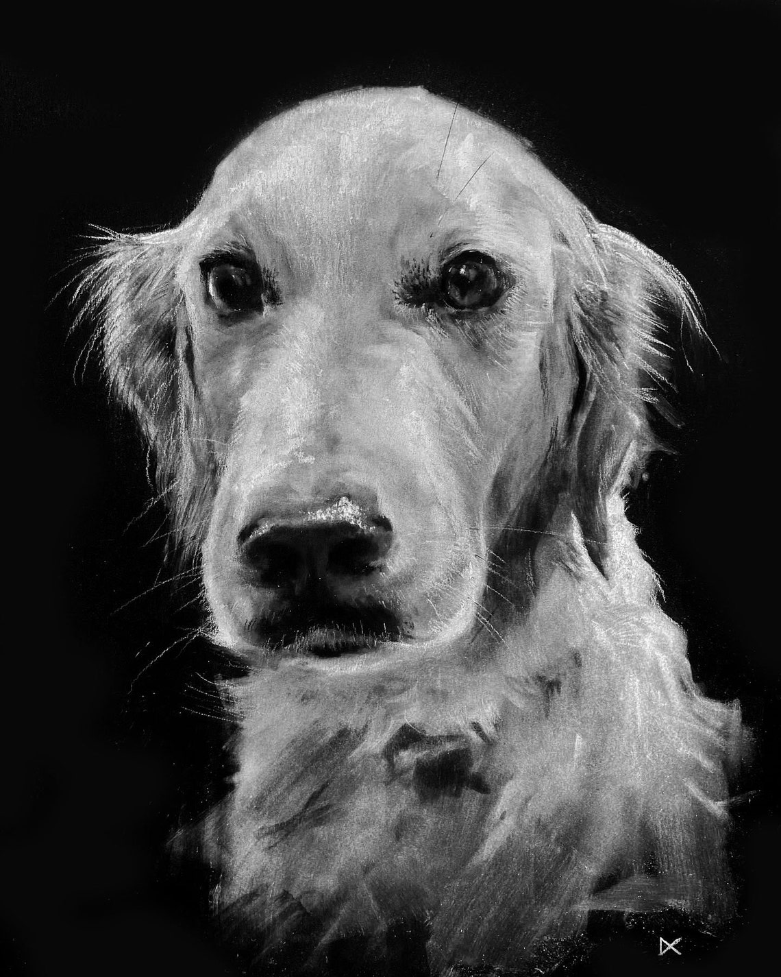 Pet Portrait Drawing / Pastel Pet Drawing / Custom Pet Portrait ...
