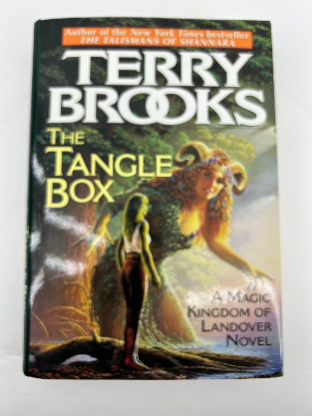 The Tangle Box by Terry Brooks 1994 1st Edition Del Magic Kingdom HC/DJ ...