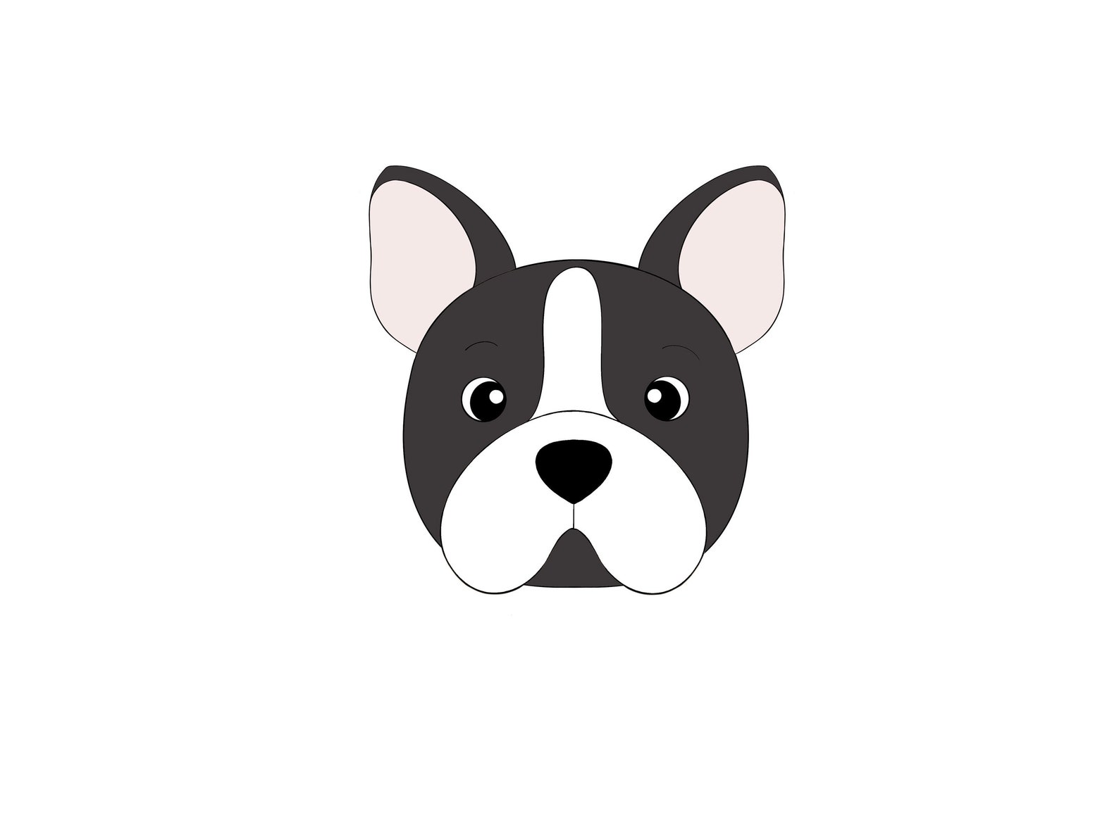 Golden Doodle, Bichon, Lab, Frenchie/boston Terrior, Yorkie, or Boxer ...