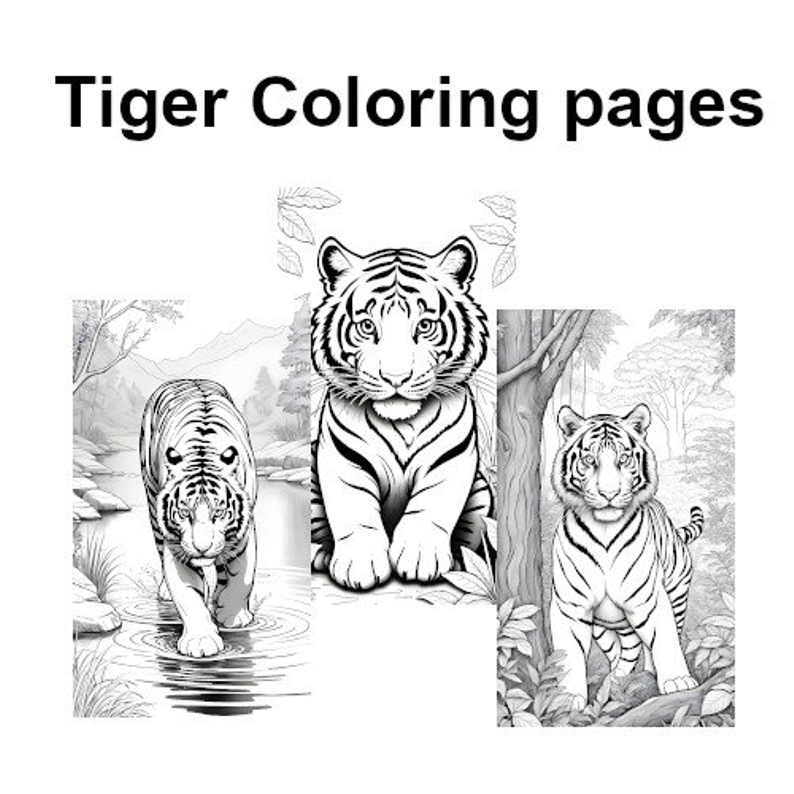 Tiger Coloring Pages PDF 7 Pages - Etsy