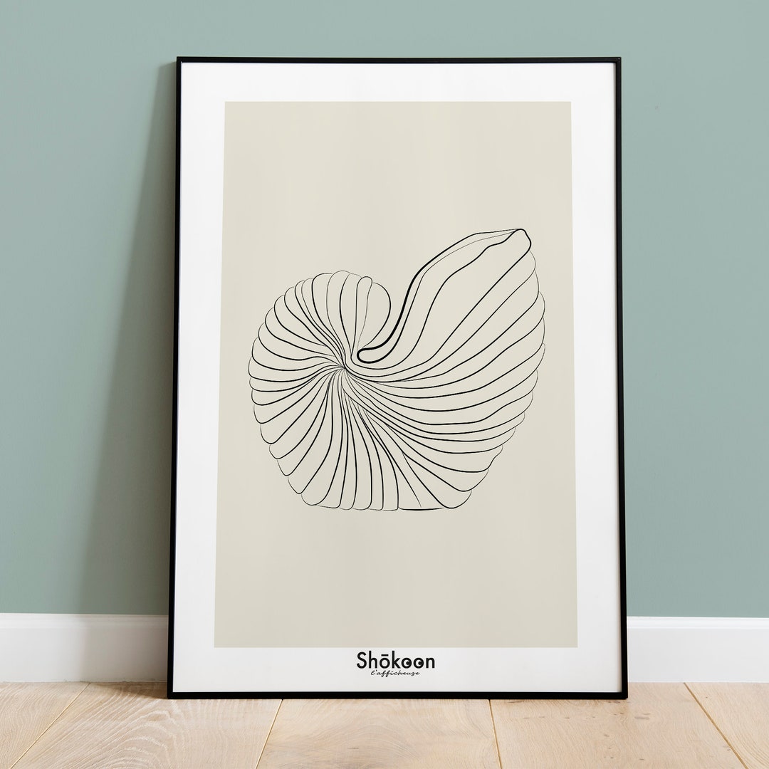 Shell Shell Poster Poster & Poster Trendy Wall Decoration - Etsy