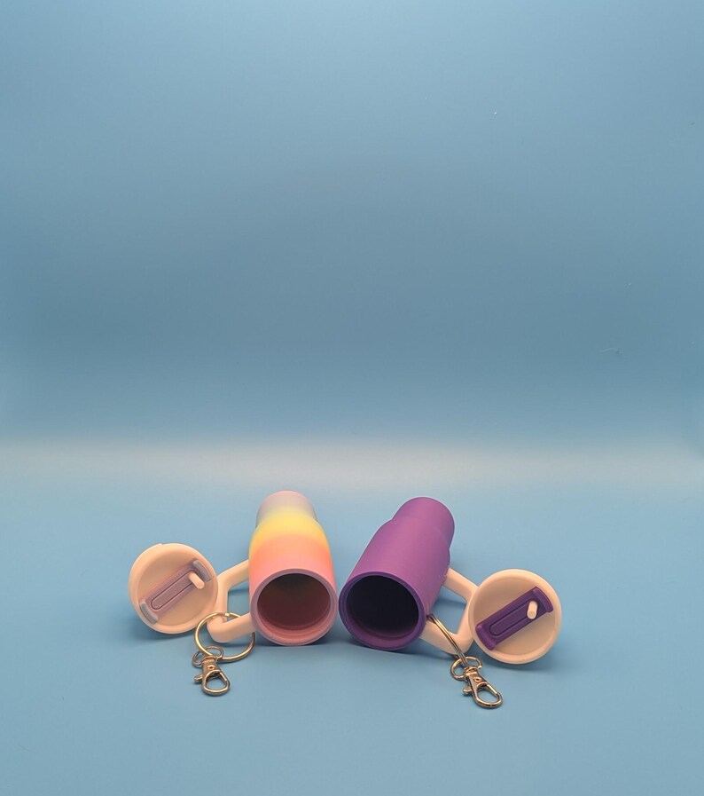 Mini Stanley Inspired Tumbler Keychain: Chapstick Holder & Secret Stash ...