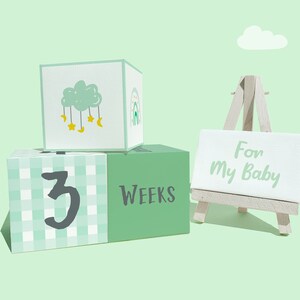 Printable Green Baby Milestone Cube for Photos Baby | DIY 3d Milestone ...