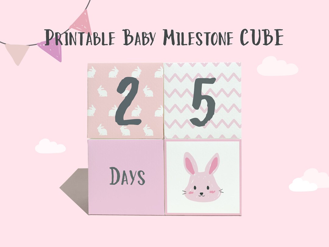 Printable Baby Milestone Cube for Photos Baby | DIY 3d Milestone Cube ...
