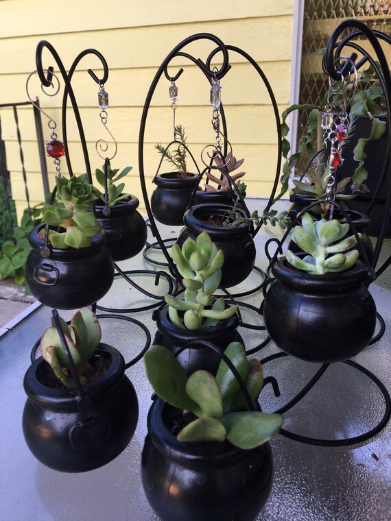 Hanging succulent cauldrons | Etsy
