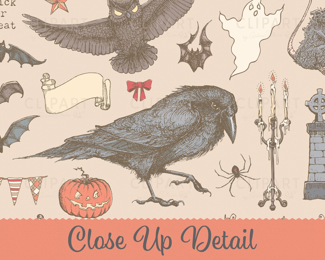 Vintage Halloween Clipart Bundle, Hand-drawn Gothic Raven, Crow, Owl ...