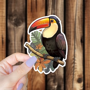 Toucan - Etsy