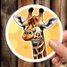 Round Giraffe Waterproof Vinyl Sticker Realistic Cartoon Style Zoo ...