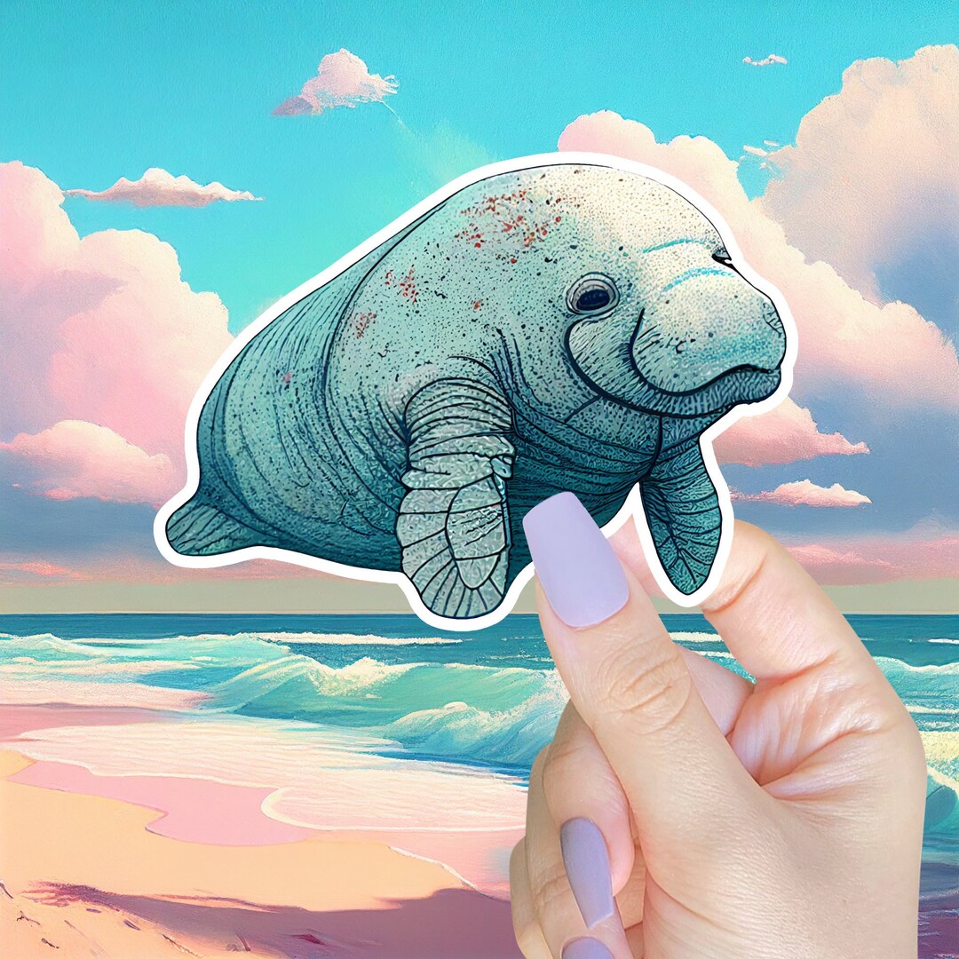 Realistic Manatee Sticker Unique Vinyl Wall Art Ocean Marine - Etsy