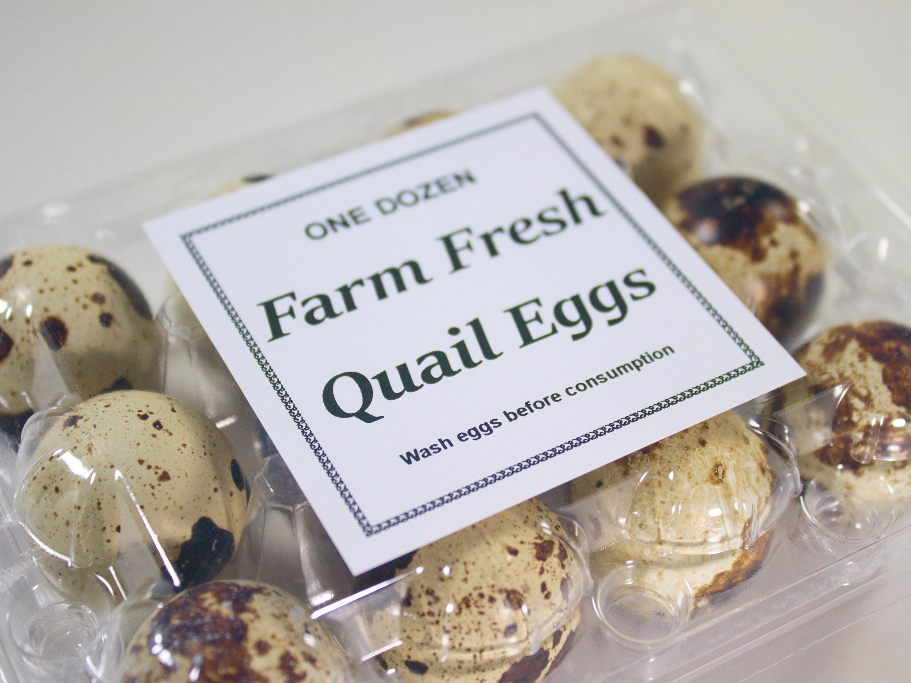 Custom Square Quail Egg Carton Label With Adhesive Backing - Etsy
