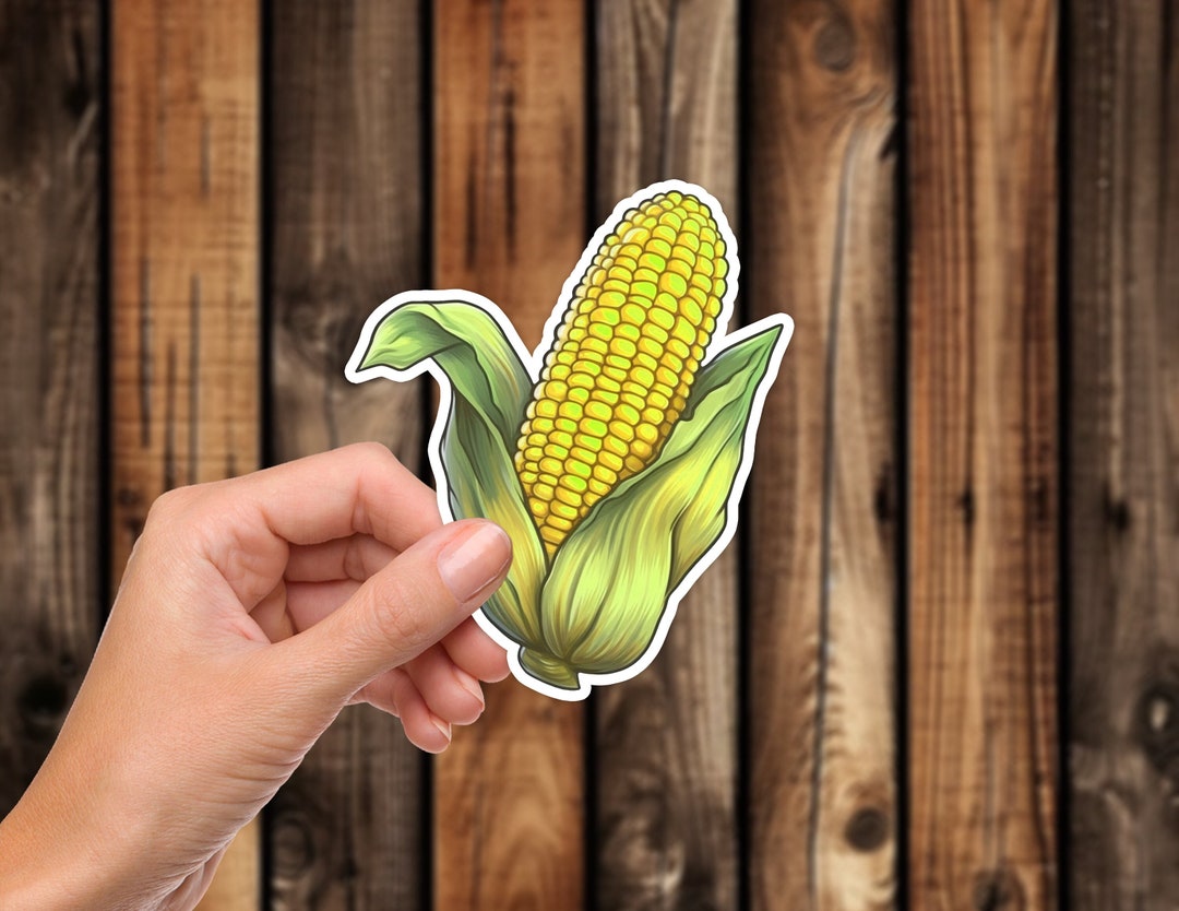 Corn on the Cob Sticker Yellow Realistic Vegetable Grain Farm and ...