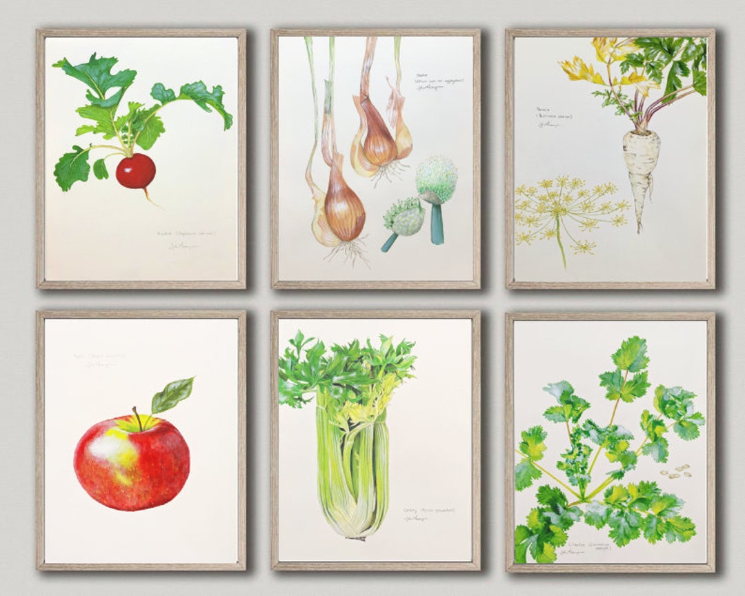 Botanical Print Set, 6 Piece Set, Fruit, Vegetables, Kitchen, Artwork ...