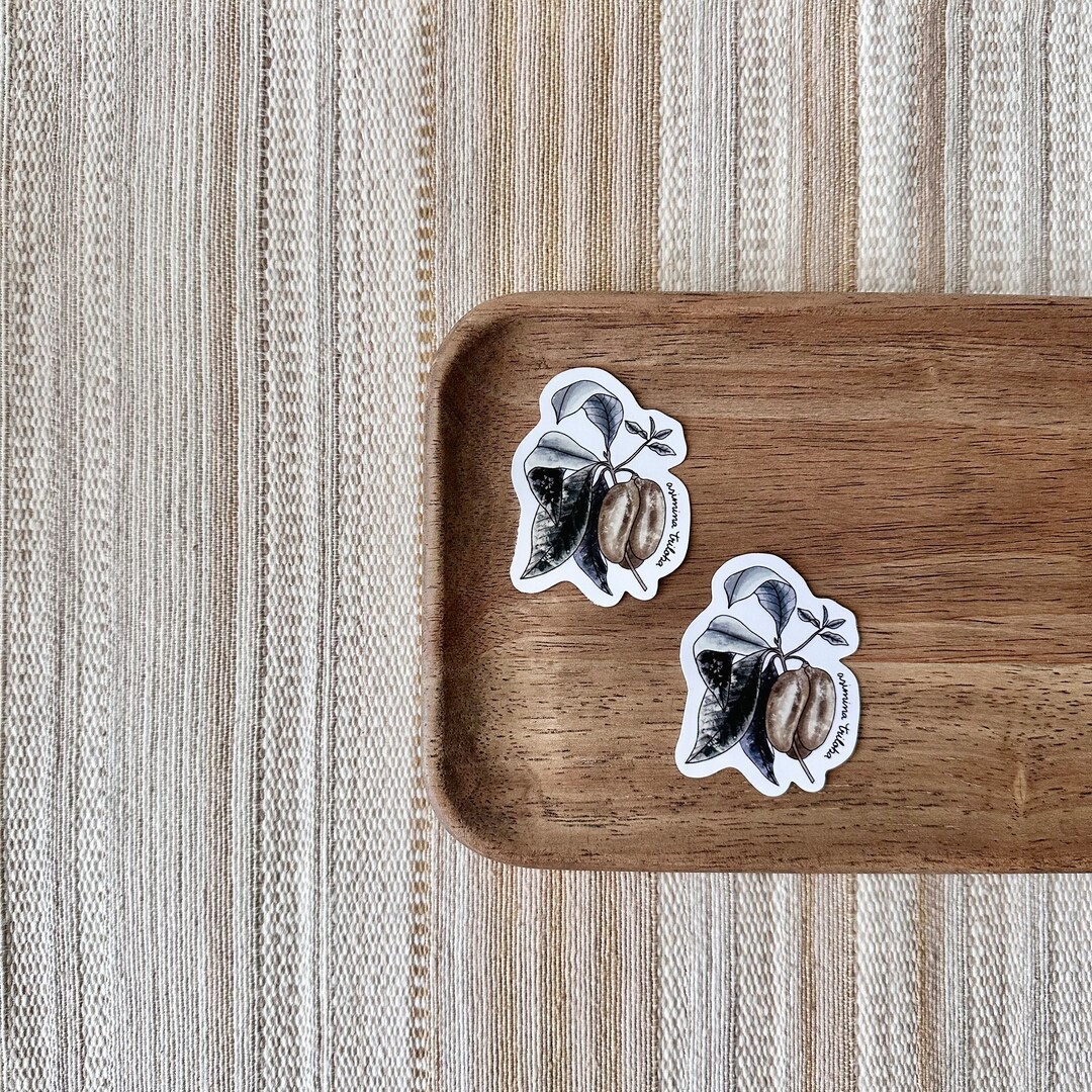 Plant Sticker Botanical Sticker for Plant Lovers Pawpaw Botanical ...