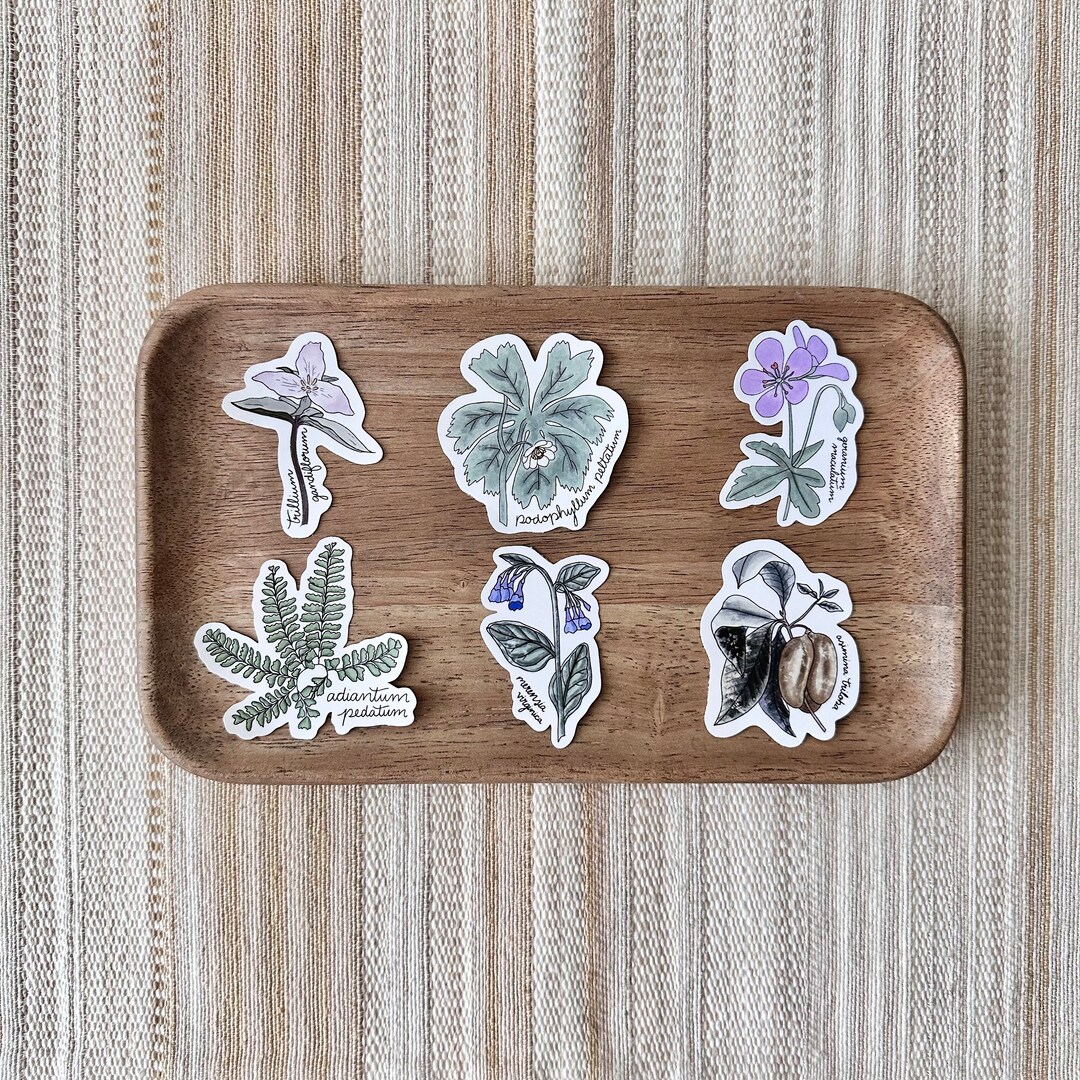 Botanical Sticker Pack for Plant Lovers Plant Sticker Pack Botanical ...