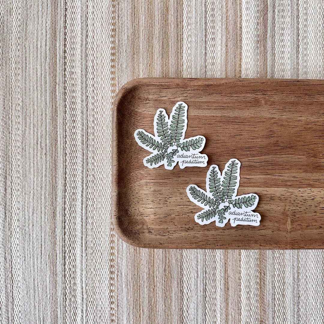 Plant Sticker Botanical Sticker for Plant Lovers Fern Botanical ...