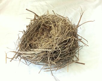Bird Nest , Real Birds Nests , Robin Birdnest , Ornithology Science ...