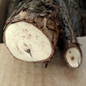 Grapevine Wood , Grape Vine Sticks , Smoking Wood , Fresh Cut Sections ...