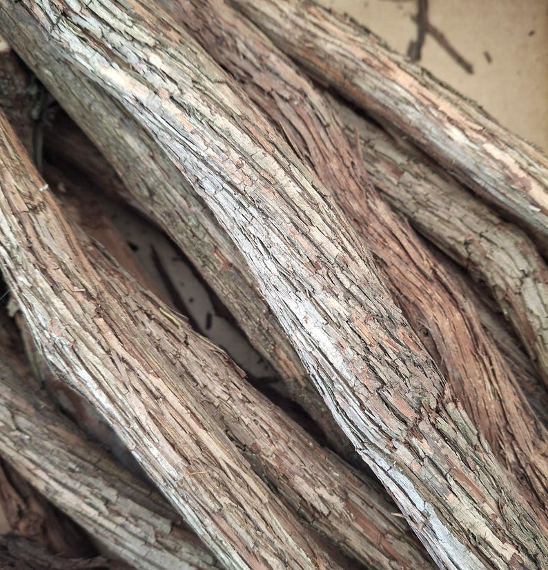 Grapevine Wood , Grape Vine Sticks , Smoking Wood , Fresh Cut Sections ...