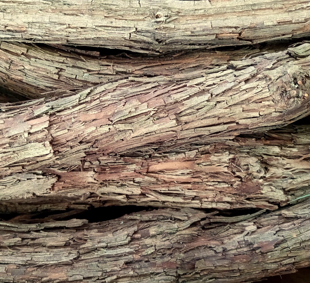 Grapevine Wood , Grape Vine Sticks , Smoking Wood , Fresh Cut Sections ...