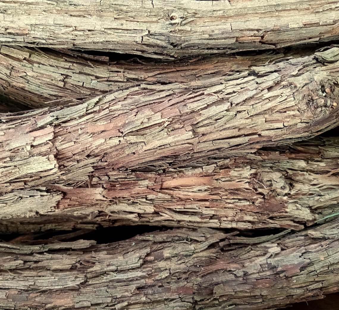 Grapevine Wood , Grape Vine Sticks , Smoking Wood , Fresh Cut Sections ...