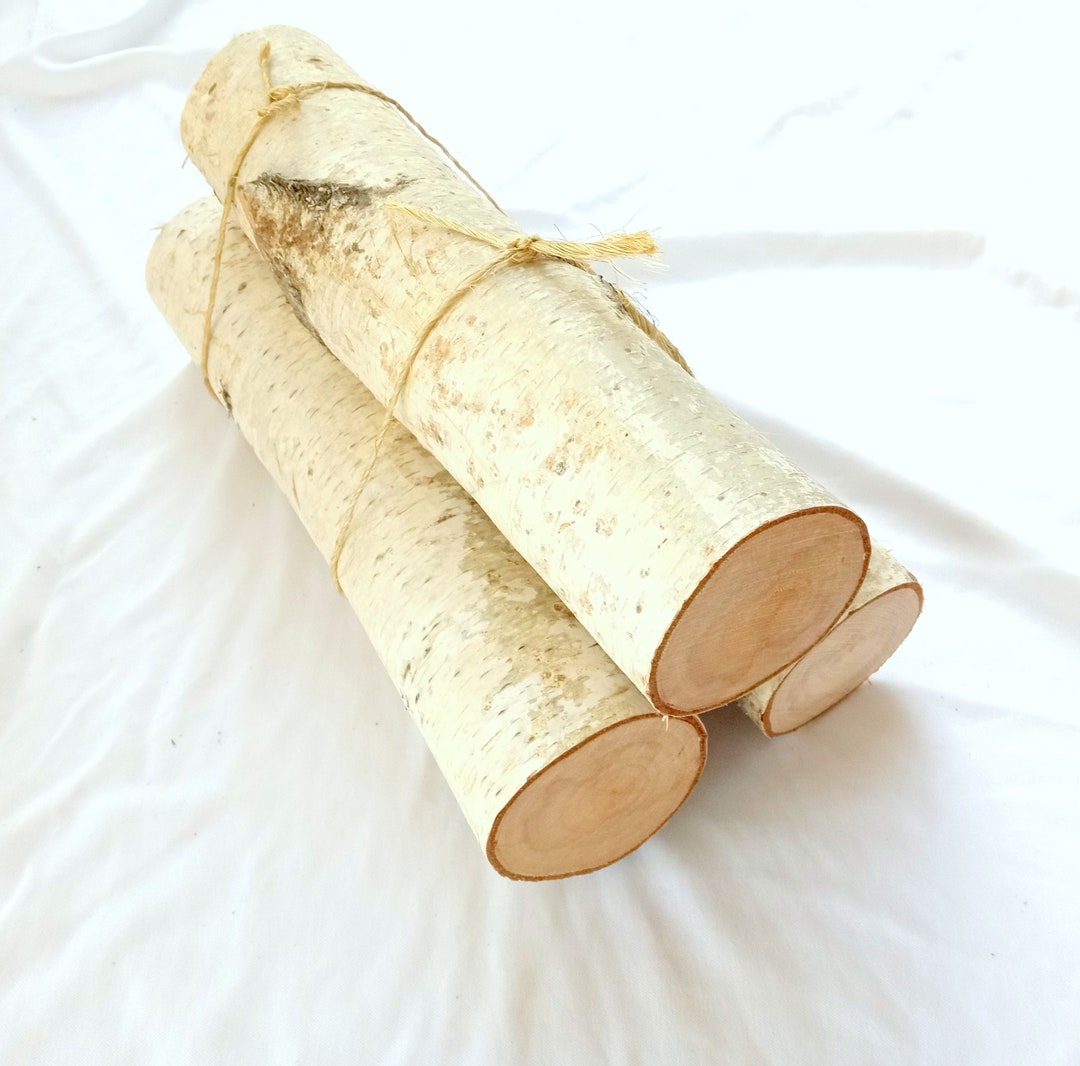 Birch Log Set , Wood Bundle , Rustic Cabin , Wooden Logs , Cozy Fire ...