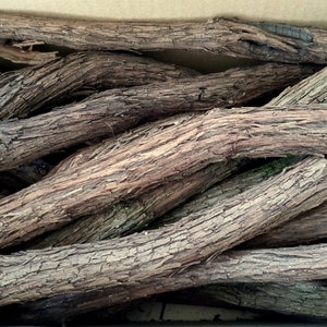 Grapevine Wood , Grape Vine Sticks , Smoking Wood , Fresh Cut Sections ...