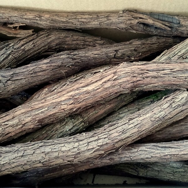 Grapevine - Etsy