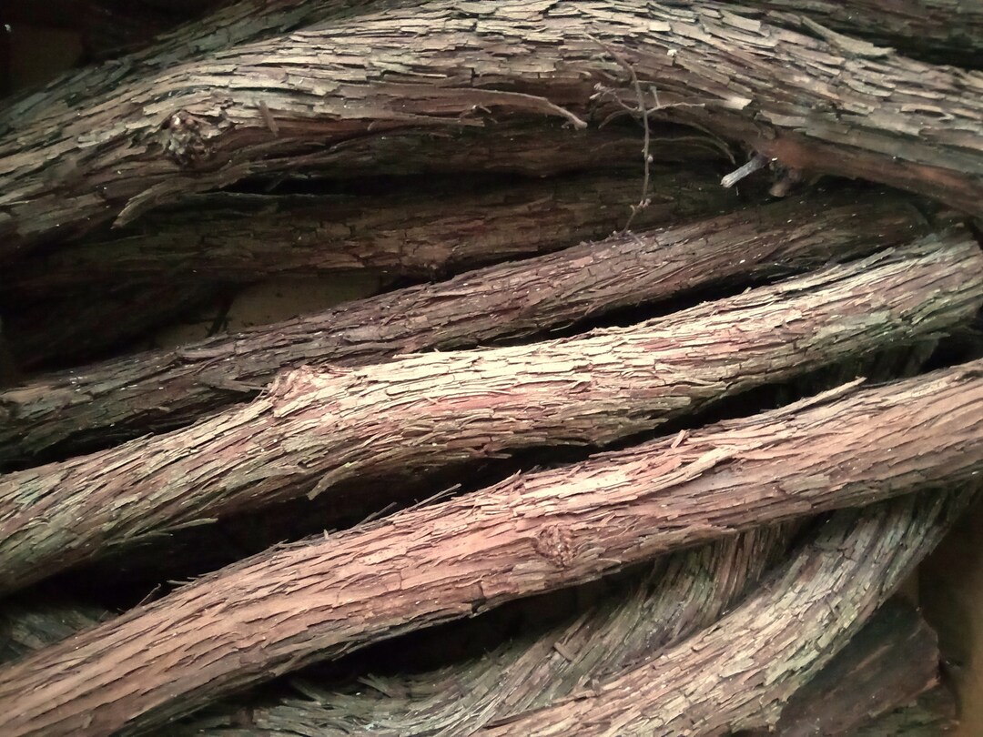 Grapevine Wood , Grape Vine Sticks , Smoking Wood , Fresh Cut Sections ...
