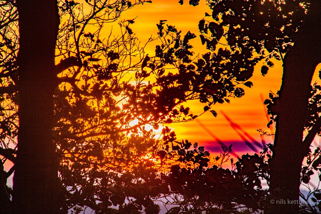 Purple Sunset - Etsy