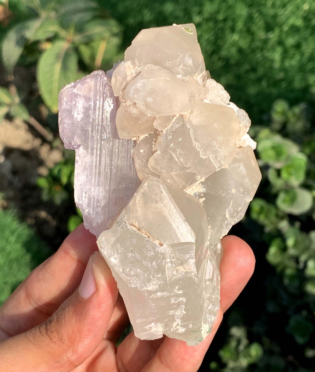 Raw Pink Kunzite Crystal on Quartz From Pakistan From Afghanistan - 258 ...