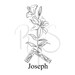 St. Joseph - Saint Symbol (PNG/PDF) - Etsy