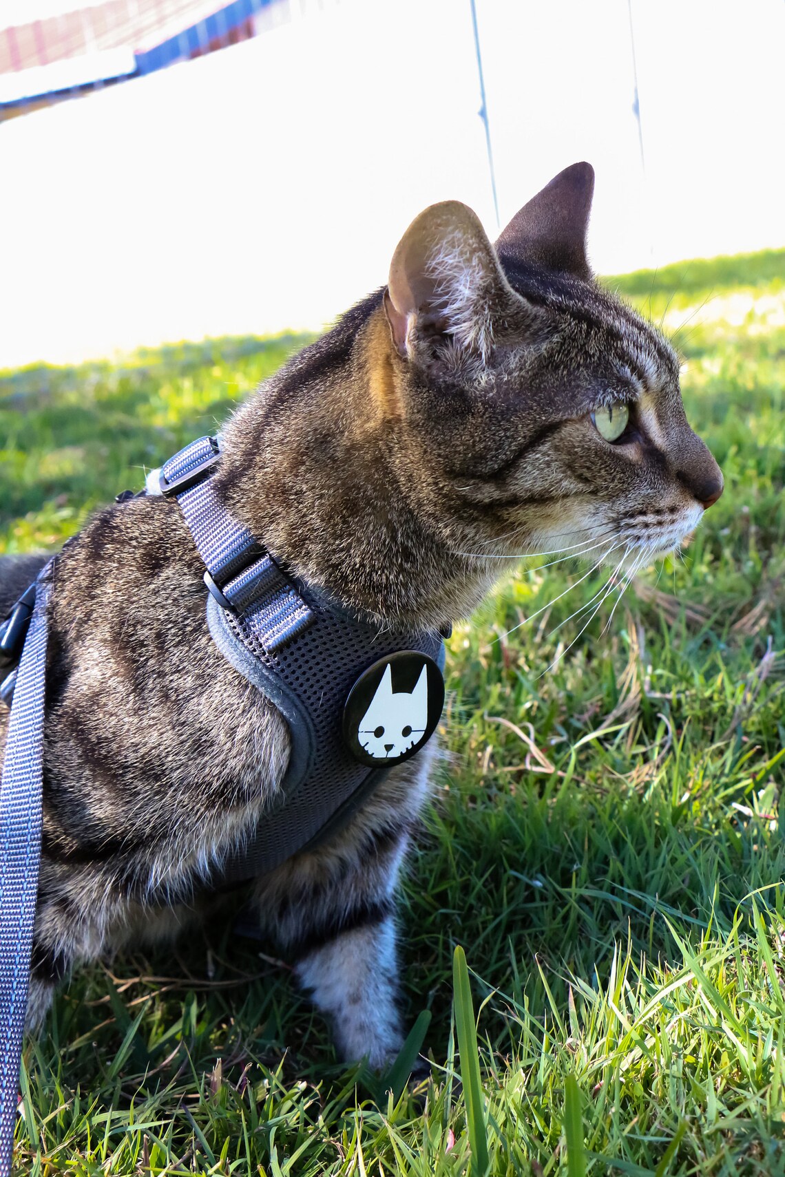 Stray Badges Patches Gamer Gift - Etsy