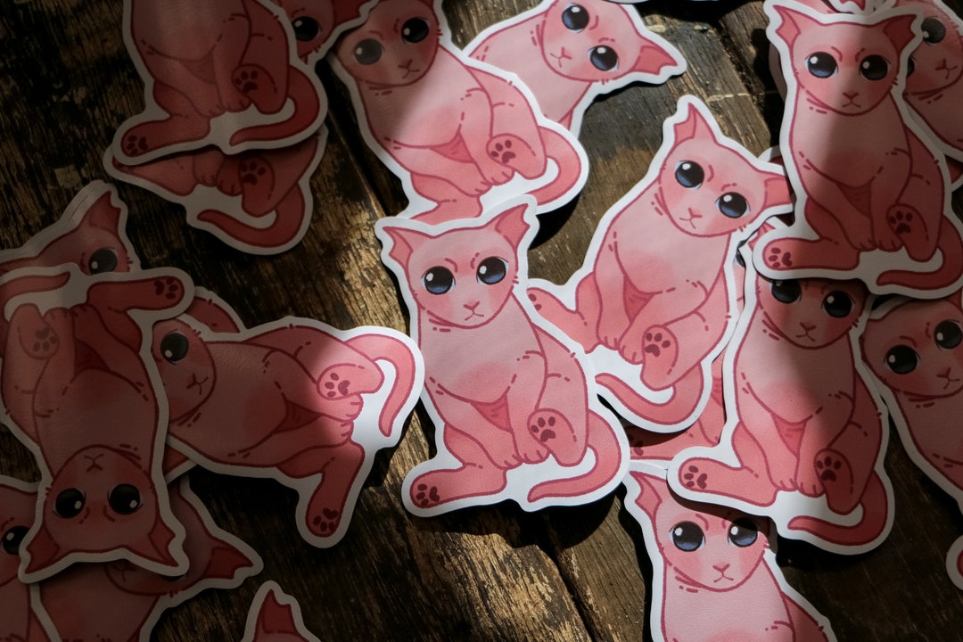 Bingus Sphynx Cat Vinyl Stickers - Etsy
