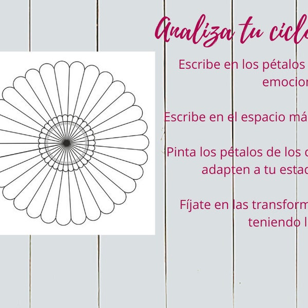 Menstrual Cycle Wheel - Etsy