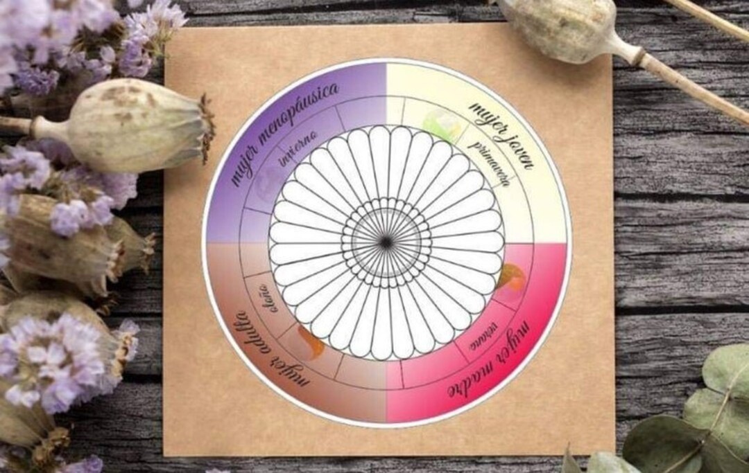 Triple Menstrual Wheel - Etsy